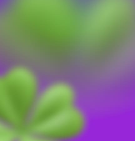 KingMaker Online Casino — The Kingdom of Online Betting